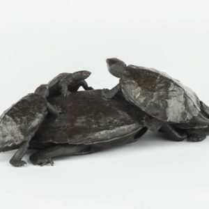 Charming Japanese Bronze Turtle Okimono by Seimin | Steve Sly Japanese Art