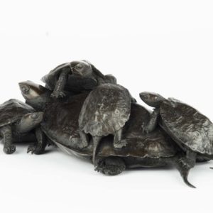 Charming Japanese Bronze Turtle Okimono by Seimin | Steve Sly Japanese Art