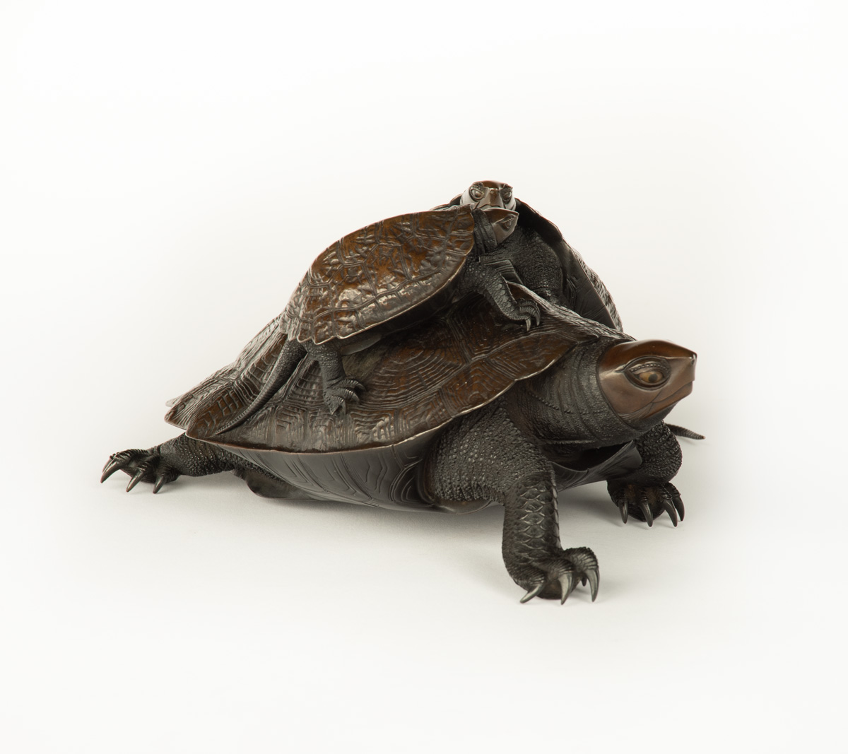 Large Japanese Bronze and Shakudo Okimono Turtles - Jomi Eisuke | Steve ...